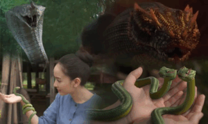 Thai Series 101: Your Ultimate Guide to Lakorns, Shows, and Dramas ...